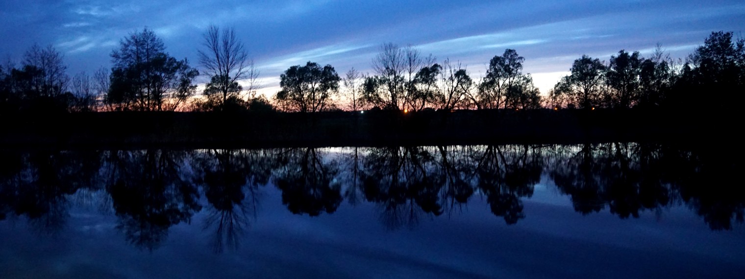 Орто-Форма Юрий Криво