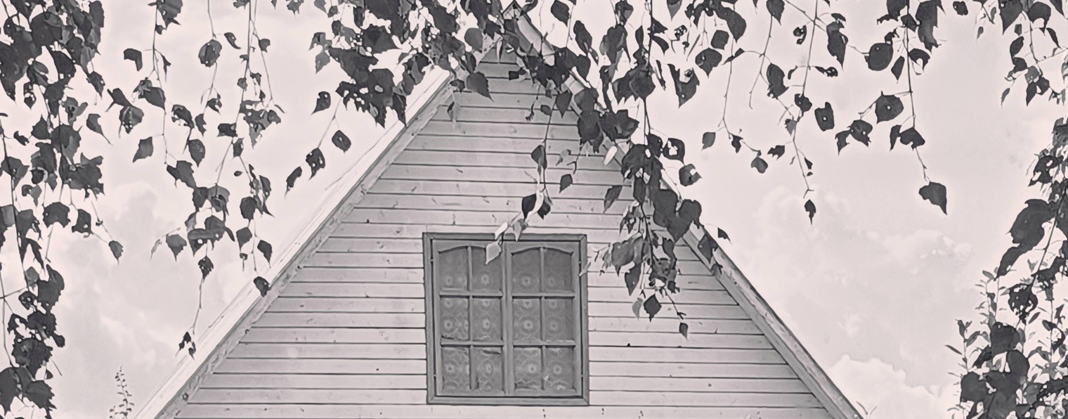 Я расскажу тебе страшную сказку