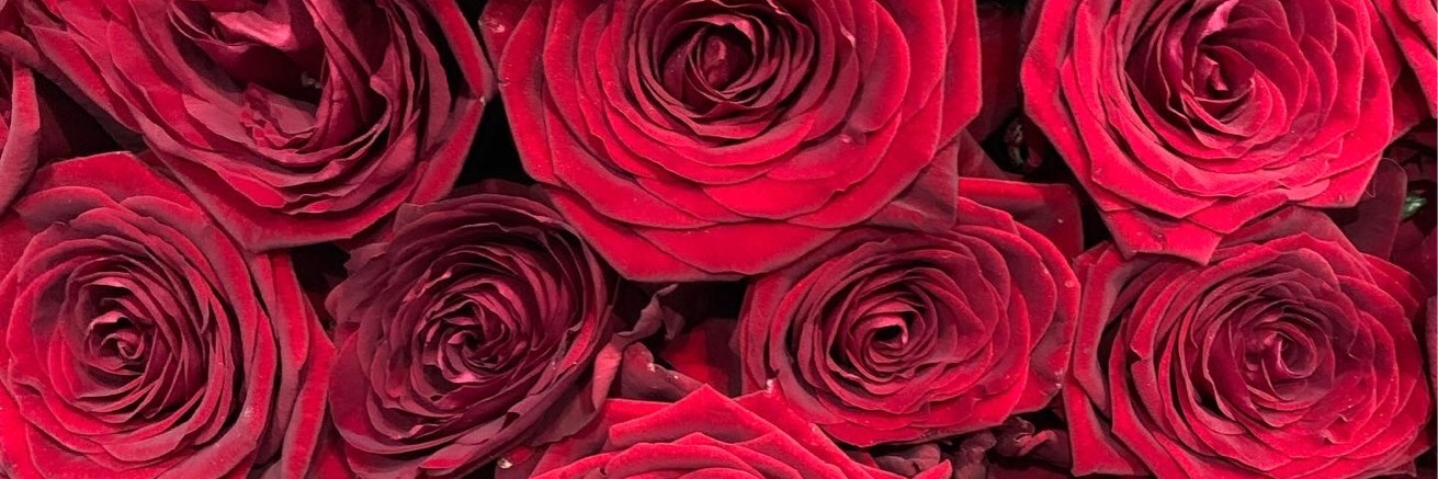 Серафима Мишина