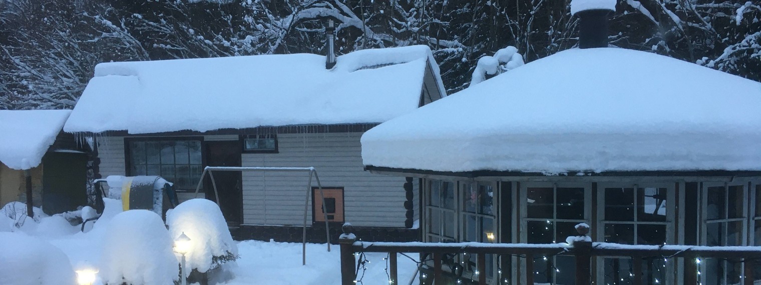 Дачные истории