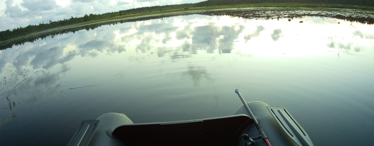 Дикая Рыбалка