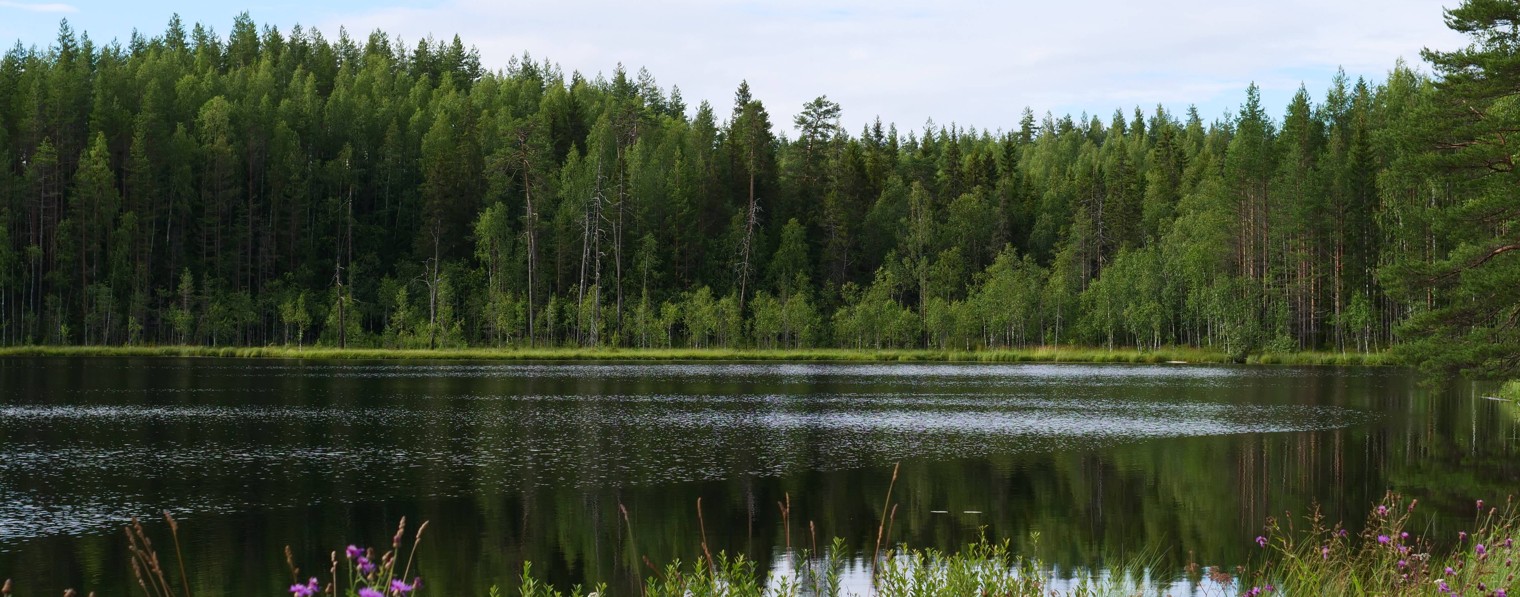 Павел Петрович