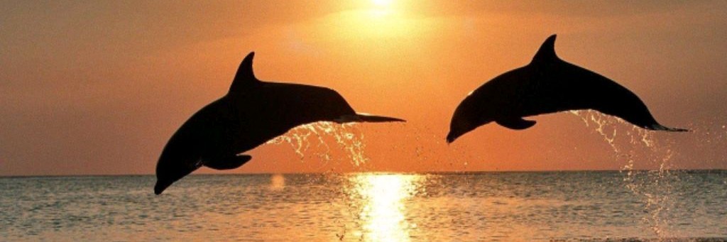 ПЛАНЕТА ЗЕМЛЯ