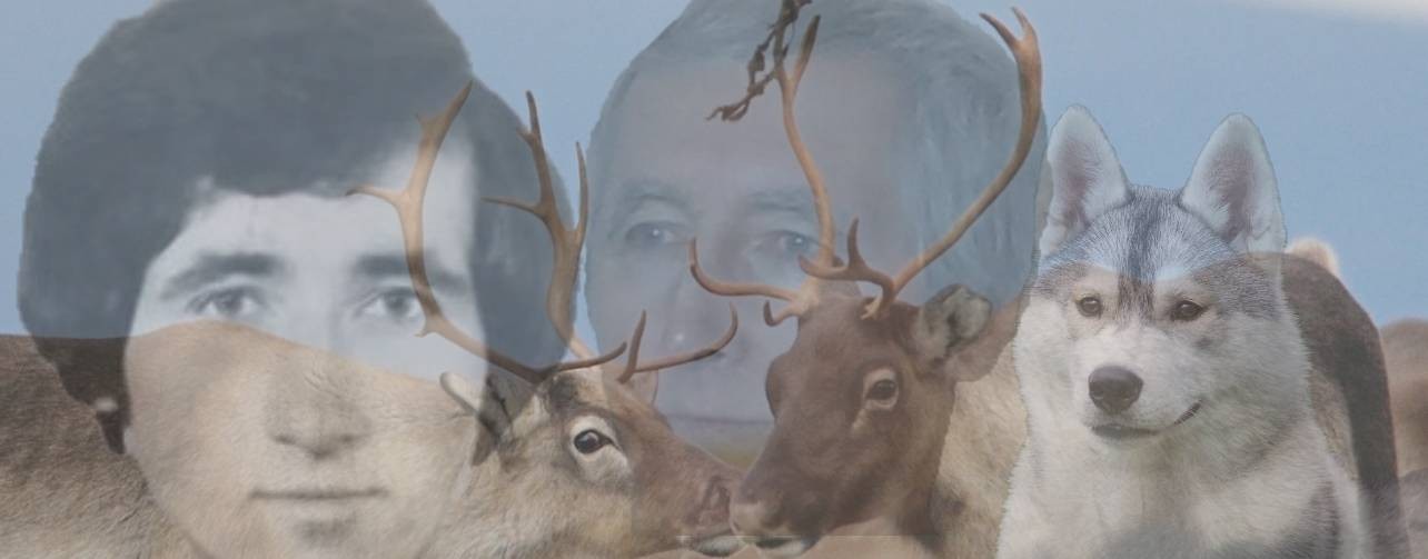 Обзор видео визуализации расчётов в Star-ccm+.