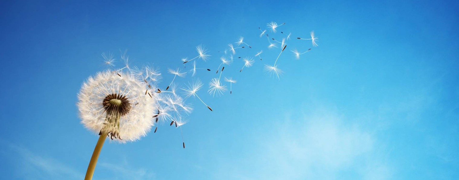 Отдых с пользой для души ☦️