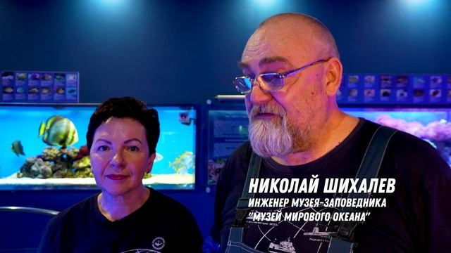 Что у нас сегодня на обед? Секреты аквариумистов Музея Мирового океана