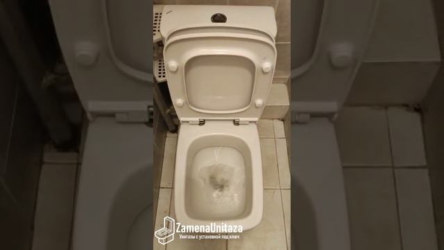 Тест смыва унитаза Сантек Нео Лайт Косой Выпуск от ZamenaUnitaza