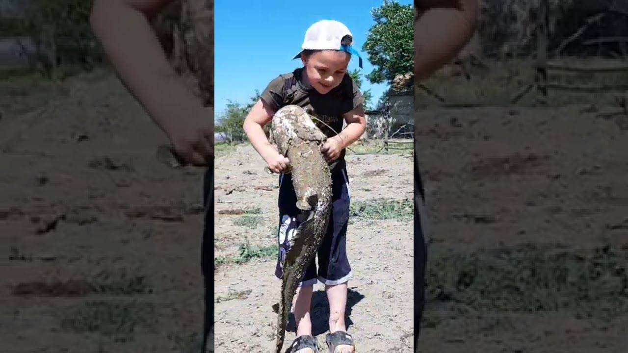 Поймали Большого Сома Рыбалка в Дагестане