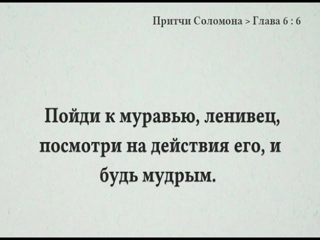 20.7 По страницам Библии - лекции доктора Мак Ги по книге Притчи