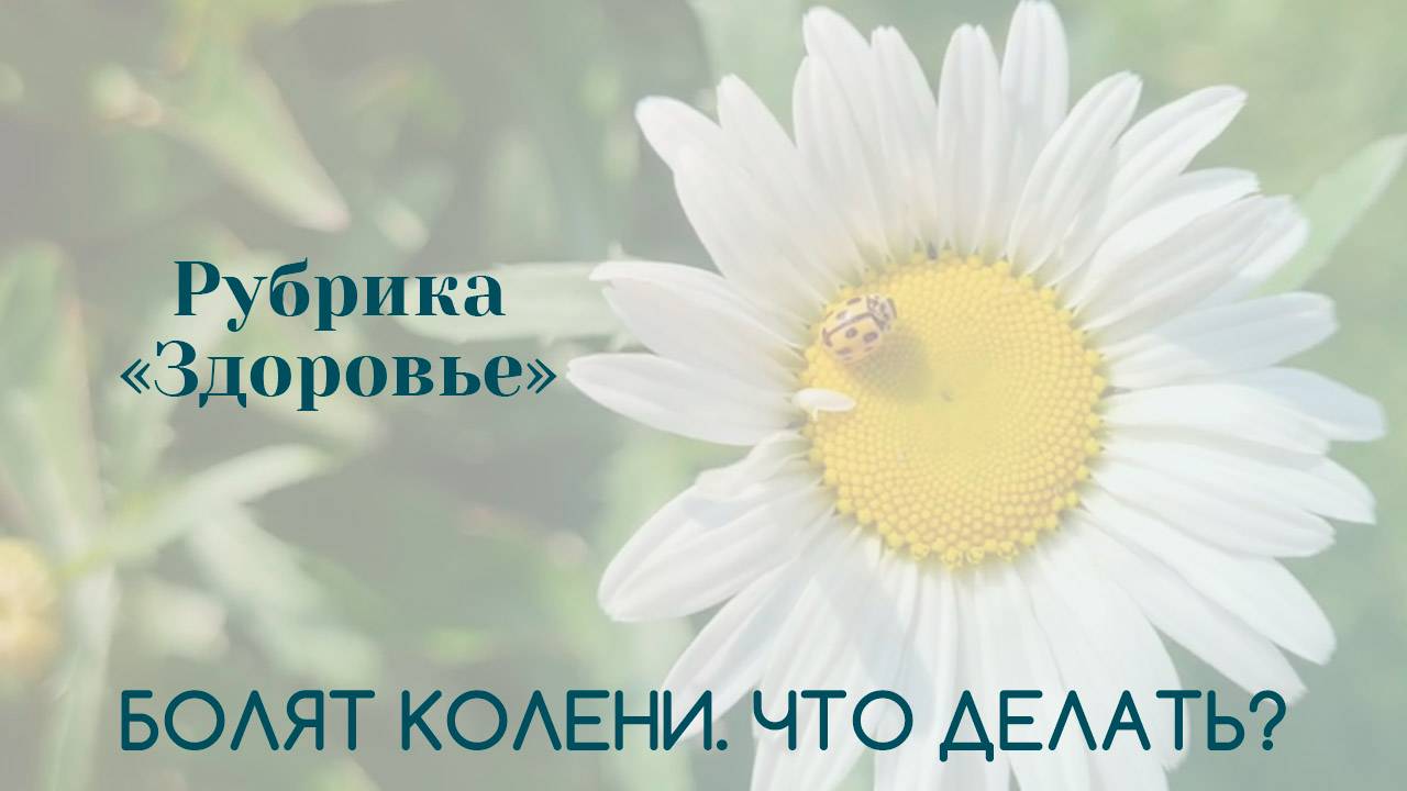 Болят колени | Самочувствие | Татьяна Бекаревич