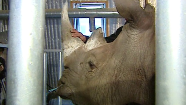 Столица готовится встретить Всемирный фестиваль циркового искусства Идол- Россия Культура