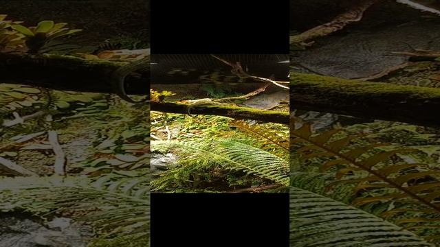 океанариум СПБ Питер