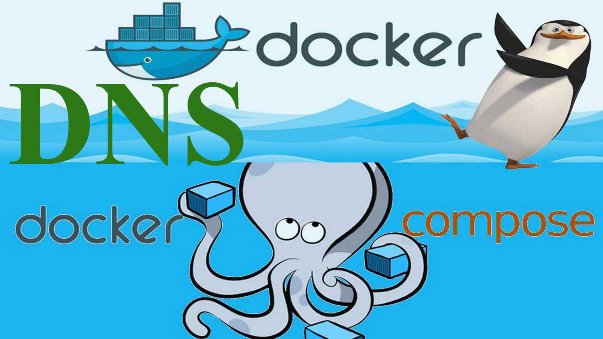 DNS Bind9 Docker Compose