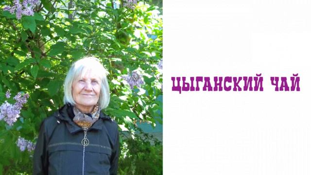 Цыганский чай