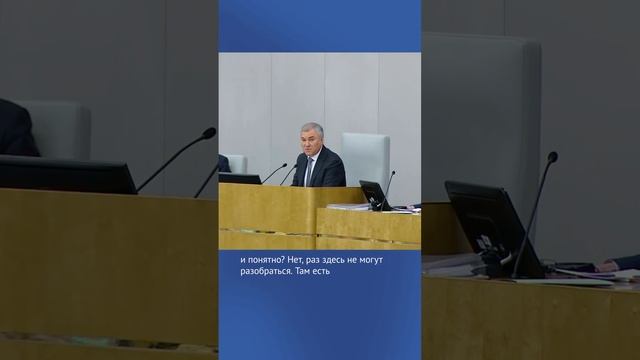 Вячеслав Володин подчеркнул, что прививка добровольная и дети защищены законом.