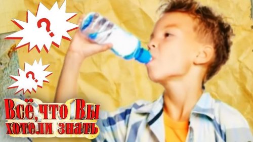 Все, что вы хотели знать, но боялись спросить