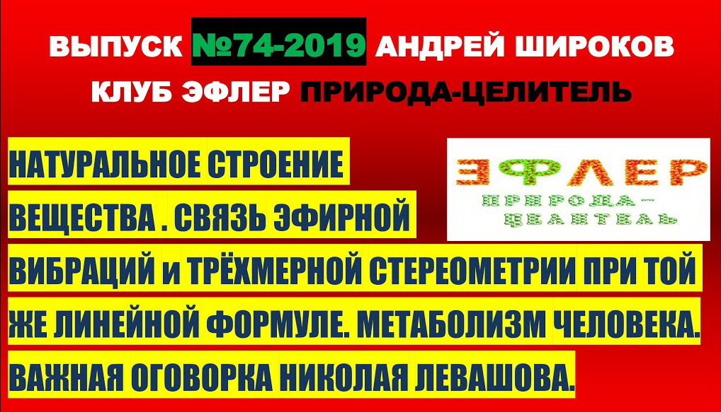 ЭФИР СОЗДАЁТ МАТЕРИЮ. НИКОЛАЙ ЛЕВАШОВ. СТЕРЕОМЕТРИЯ ВЕЩЕСТВ. ХИМИЯ ИСКАЖЕНИЙ. ДИЕТОЛОГИЯ.