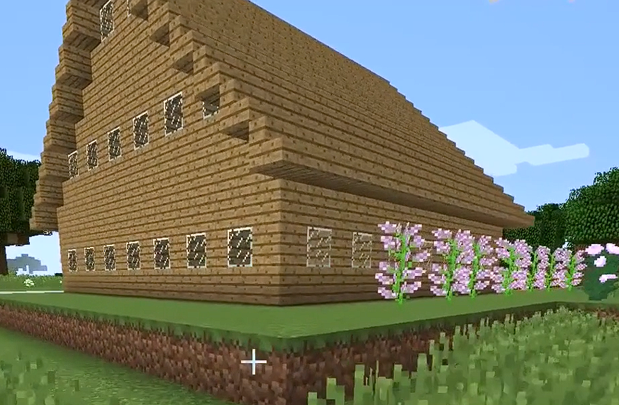 Потеря памяти у Кубика из деревни Майнкрафт.mp4