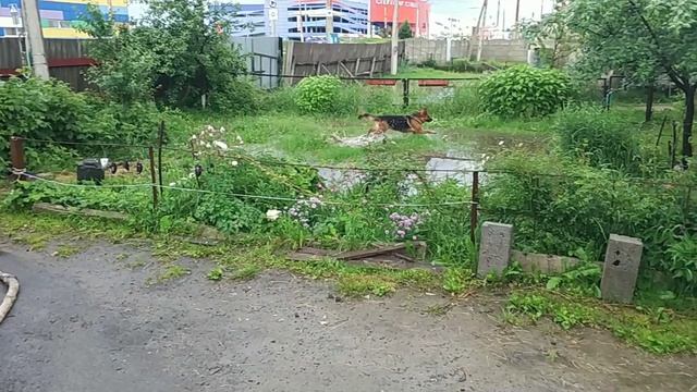 Аппорт при любой погоде