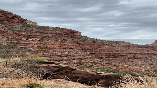 Без названия