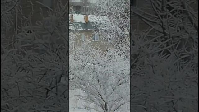 Валдай 4 февраля 2024 года.