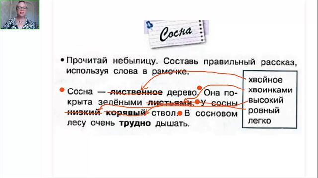 Математика 1 класс. Летняя поддержка 27.08.2024