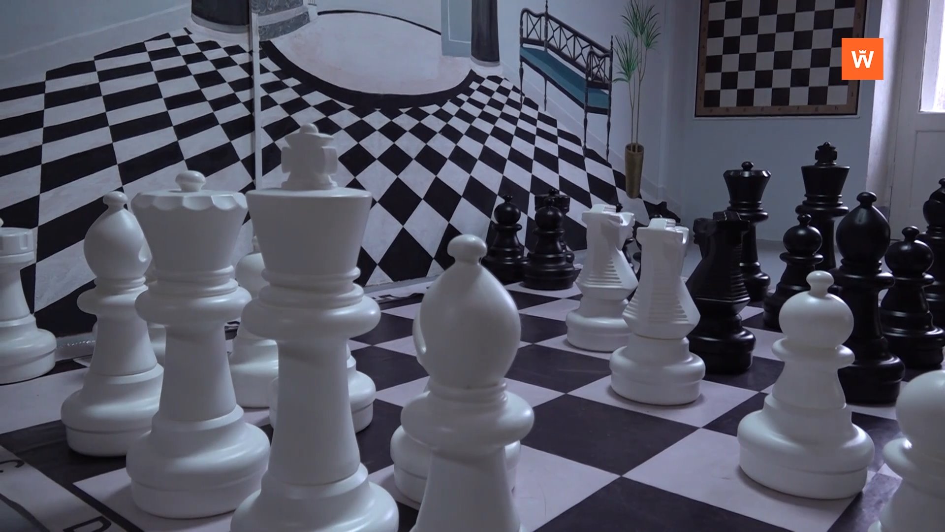 Программа «Добрыня» от 26 июня 2022 года