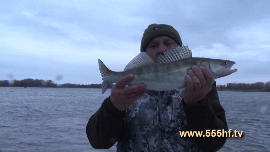 Рыболовно-охотничья база «У Михалыча» 