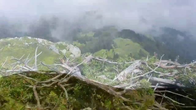 Гора Мамзышха в Абхазии . Для вас откроется потресающий вид на черноморское побережье Абхазии и Сочи