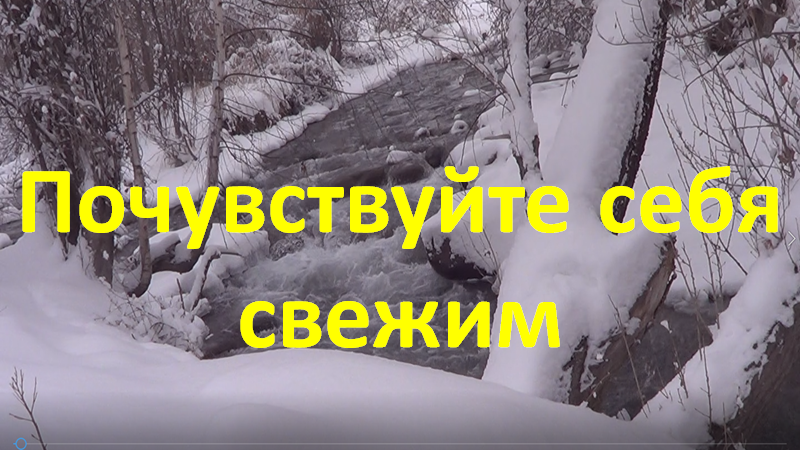 Часовое видео. Зимний ручей. Для глубокого сна. Для выходных с семьей