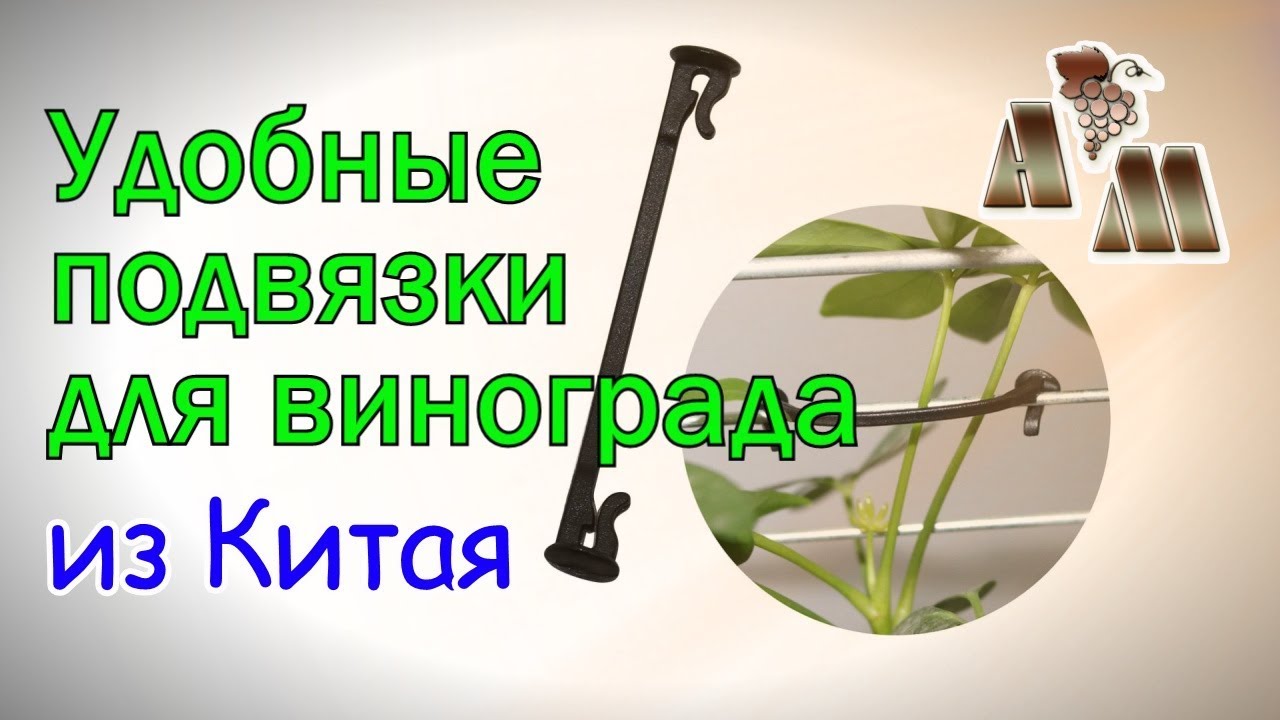 ?  Удобные клипсы для подвязки винограда