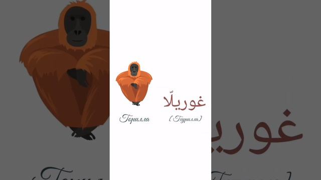 Арабский Алфавит. Буква Гайн. Урок 19.