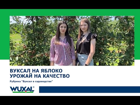 Вуксал на яблоко/Применение Вуксалов в садах/Вуксал Аминокал