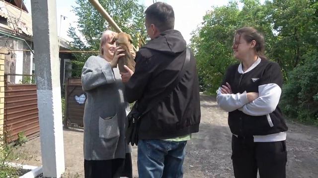 Передали уже 3-го щенка в добрые руки