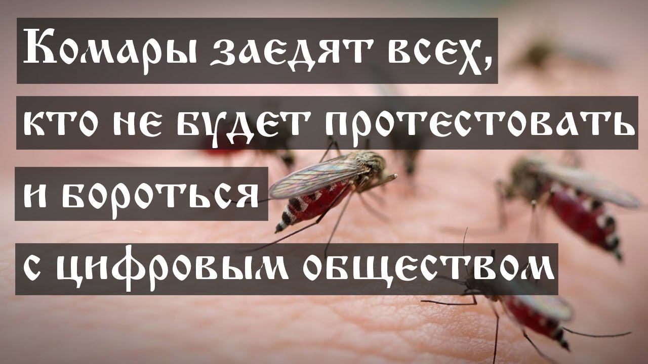Комары заедят всех, кто не будет протестовать и бороться с цифровым обществом
