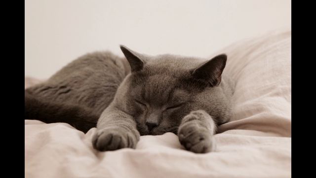 Музыка для медитации и сна