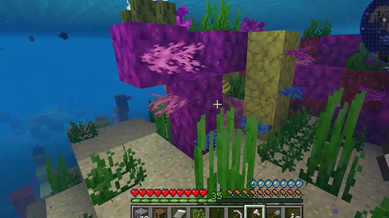 Моё путешествие за кактусом 5