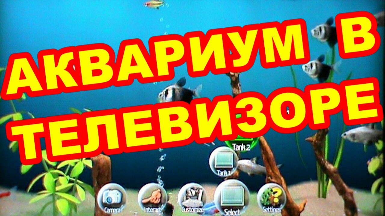АКВАРИУМ В ТЕЛЕВИЗОРЕ БЕСПЛАТНЫЕ  ПРОГРАММЫ  ДЛЯ  Android  TV  Box и Smart tv 3D Aquarium !