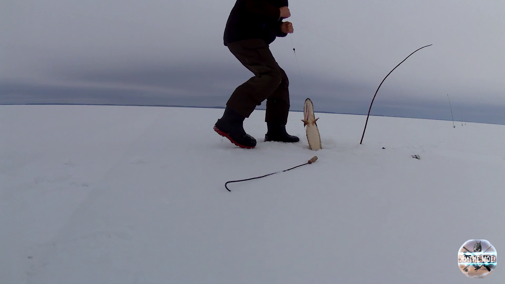 Зимняя рыбалка на вицы в затопленном лесу