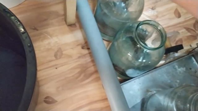 Инфузория туфелька.mp4