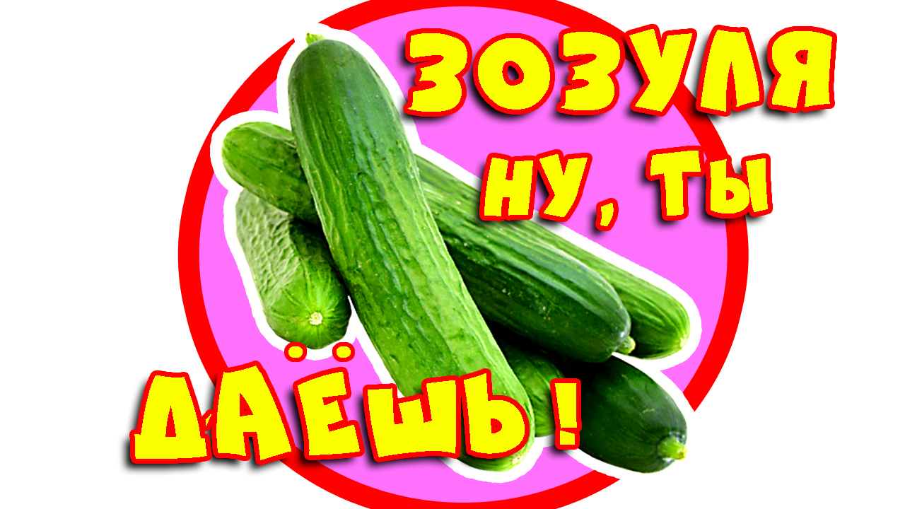 ОГУРЦЫ Зозуля F1: супер УРОЖАЙ ВЕДРАМИ в теплице гарантирован!