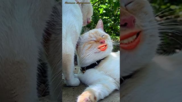 ?Вы такие умные ! От Вас умом пахнет … #Shorts