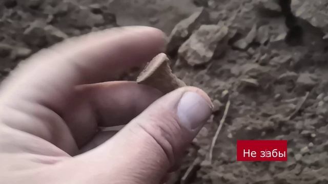 вечером в среду, после обеда....mp4