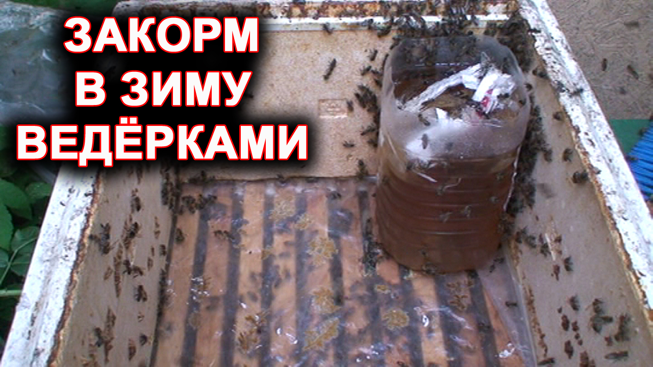 Закорм пчёл в зиму ведёрками.