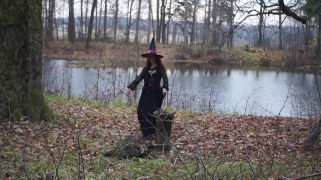 Вальс с помелом v.2