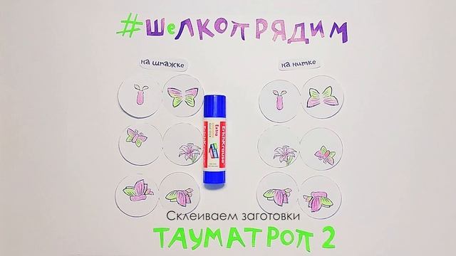 Тауматроп_2