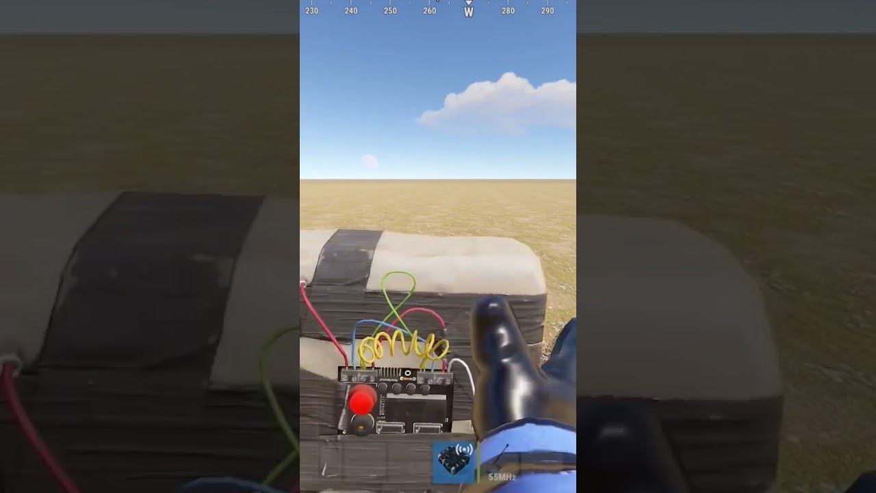 Имбовая мина раст