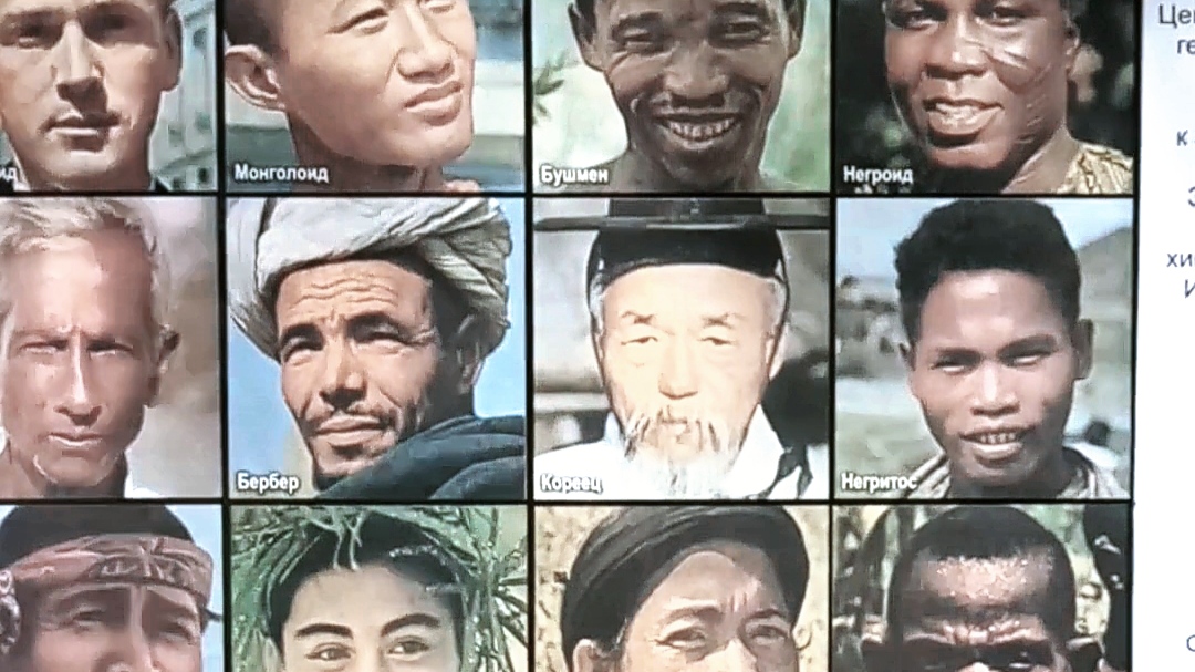 Такие разные