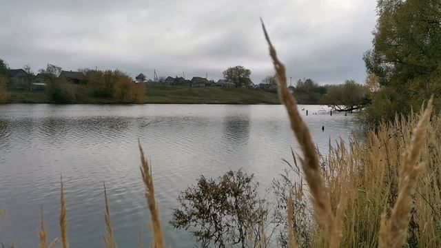 Живые фотографии Брянской области под медленный бит, озеро, осень (Lo-Fi Beats, relax, chillout).