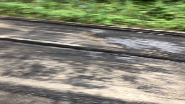 Строительство дороги в лесу до Сабурово 9 сентября 2022 г ч1